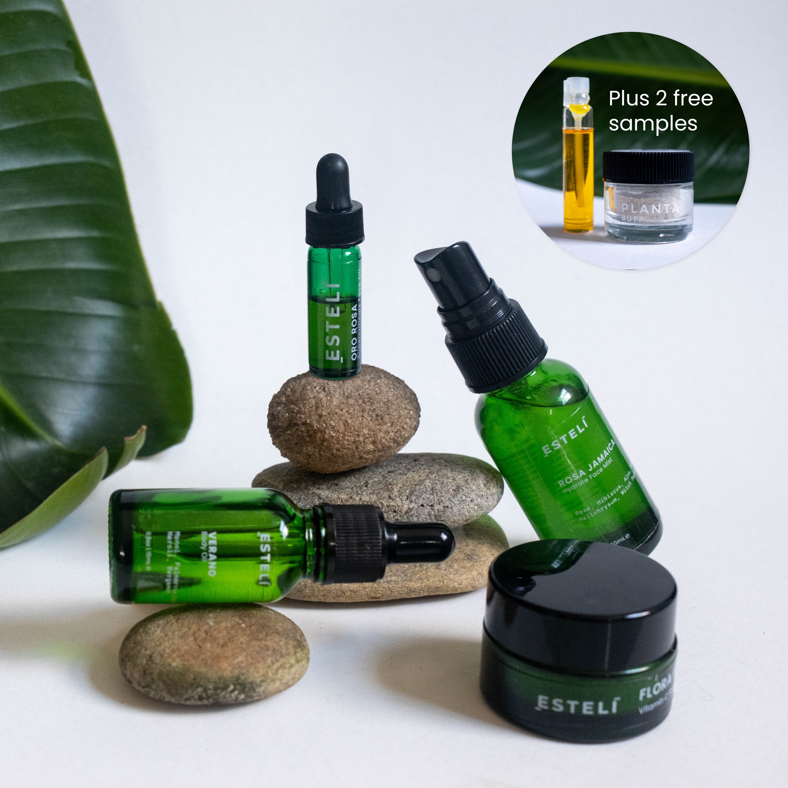 Elevate Your Skincare Routine With This Kit – Esteli